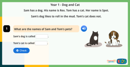 Fiction Year 1 Reading Comprehension Dog and Cat | Classroom Secrets Kids