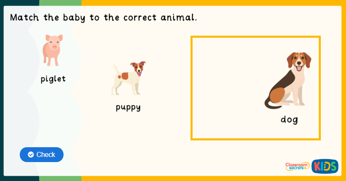 Reception Match the Animals Game | Classroom Secrets Kids