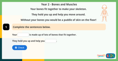 Year 2 Reading Comprehension Science Bones and Muscles | Classroom ...