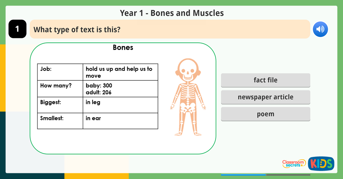 Year 1 Features of Non-Fiction Texts Reading Comprehension Bones and ...