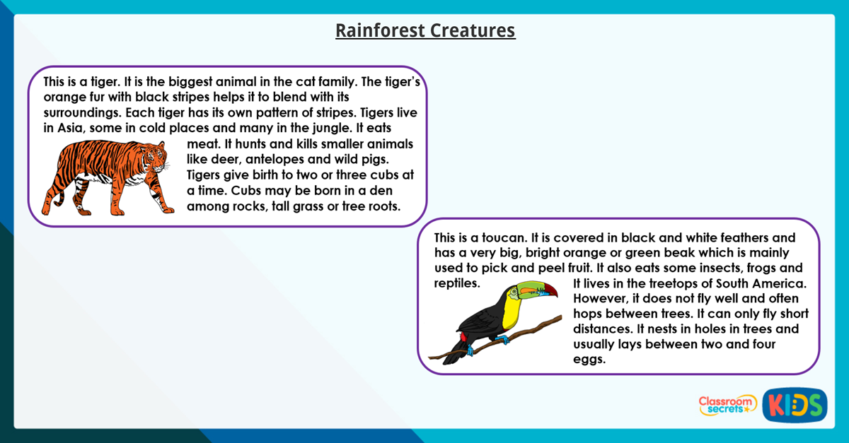 Year 3 Fact File Reading Comprehension 2 | Classroom Secrets Kids