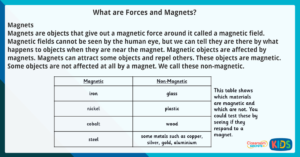 Year 4 Information Text Reading Comprehension 2 | Classroom Secrets Kids