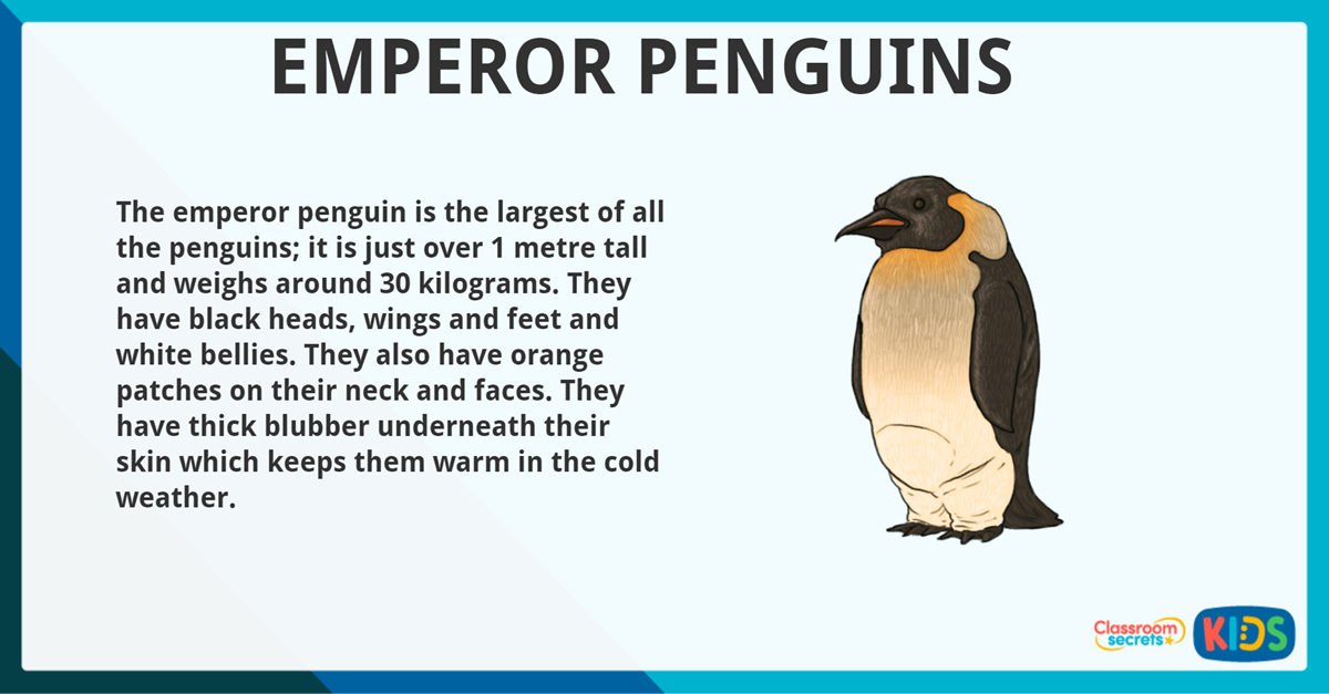 Year 3 Make Inferences from a Text Reading Comprehension 1 | Classroom ...