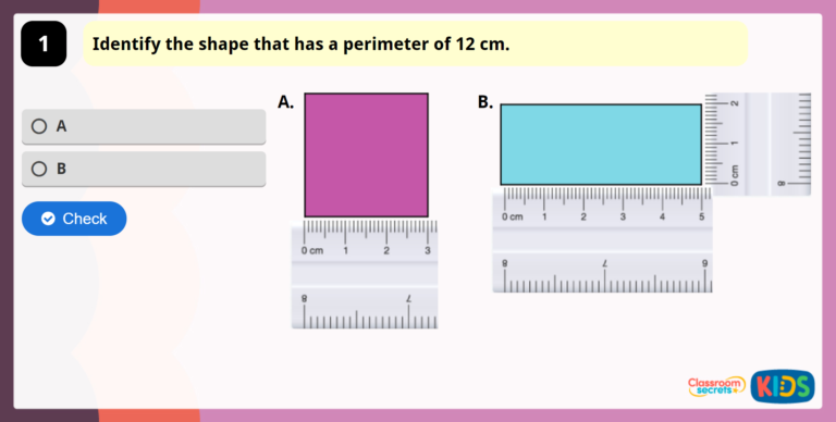 Year 3 Measure Perimeter Game | Classroom Secrets Kids