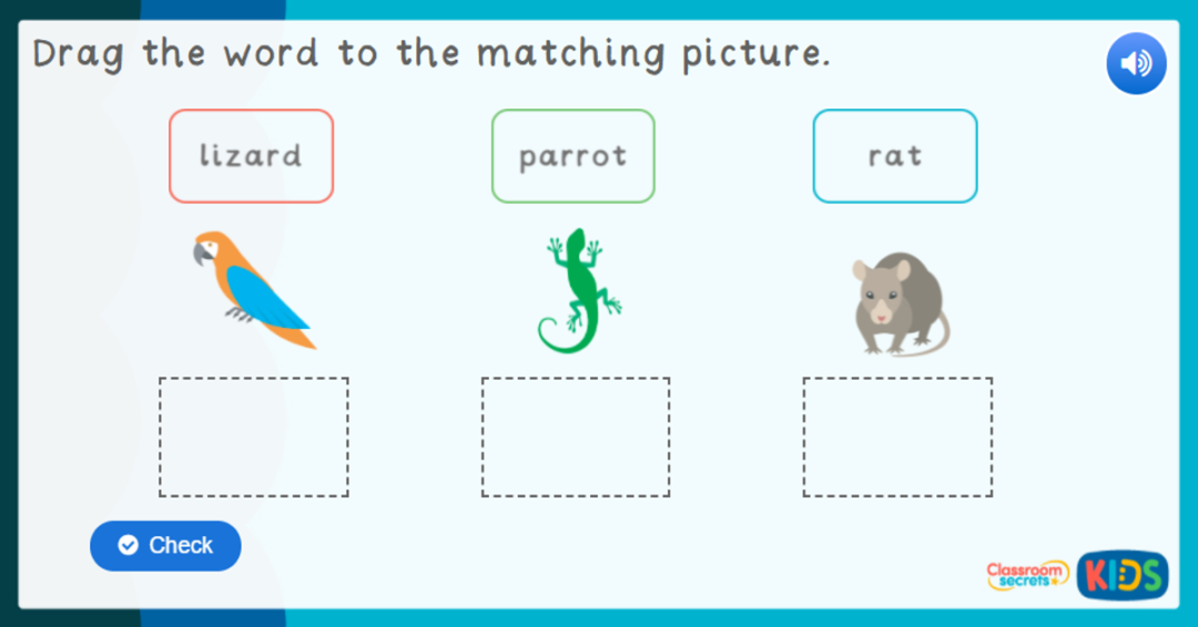 EYFS | Classroom Secrets Kids