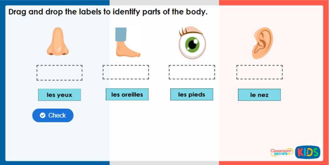 Year 4 French The Body and Clothing Game | Classroom Secrets Kids