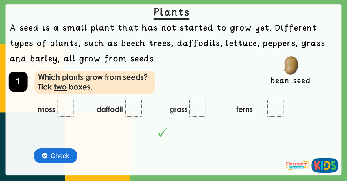Year 2 | Classroom Secrets Kids